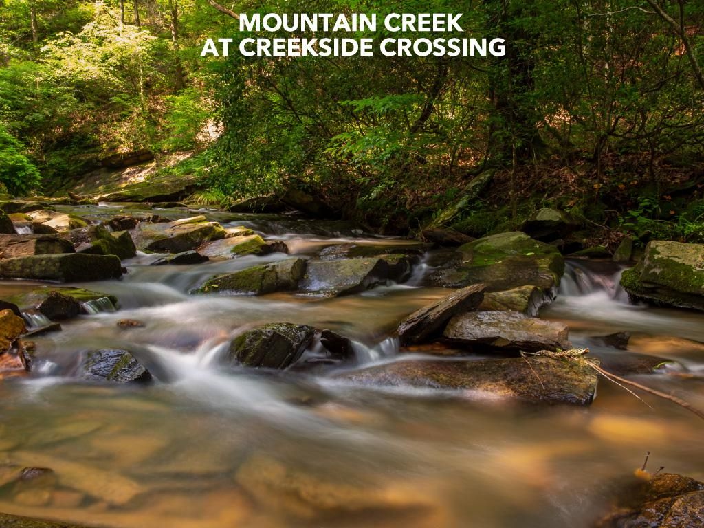 Hwy 136 W, Talking Rock, GA 30175 | MLS: Creekside Crossing | Land and Farm