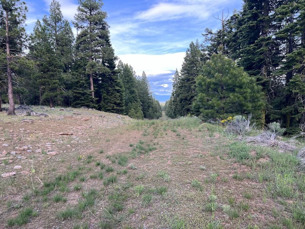 Kettle Place, California Pines, CA 96101 | Land and Farm