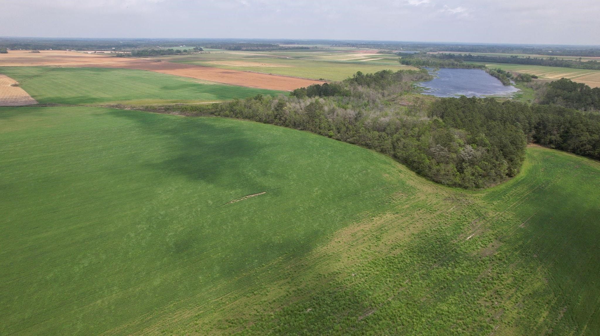 10 Acres, 15864 Bucolic Lane, Foley, AL 36535 | Land and Farm