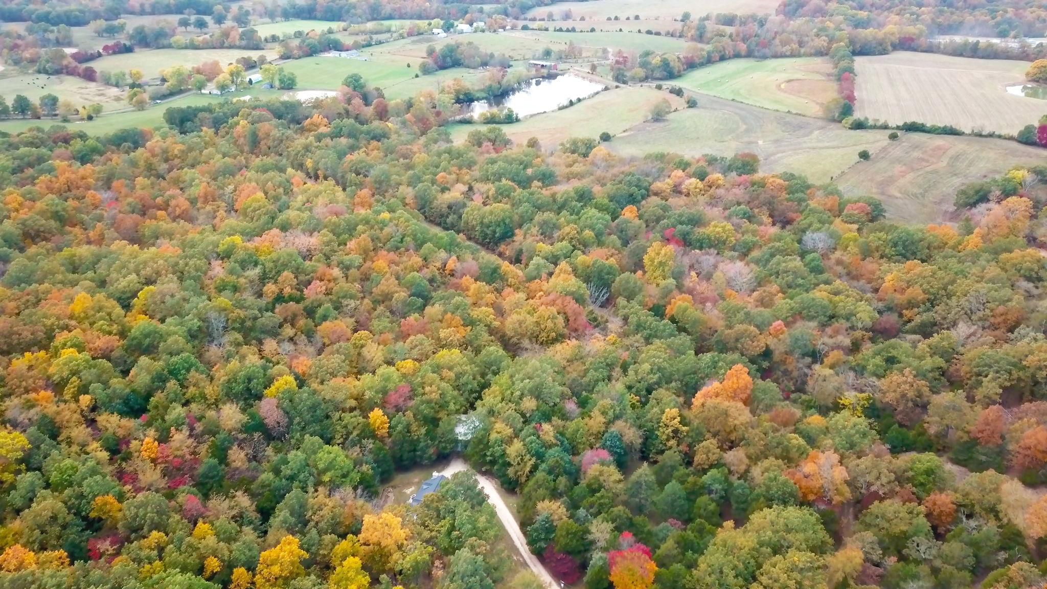 190 Woodside Rd, Oak Ridge, MO 63769 | MLS: https://matrix.marismatrix ...