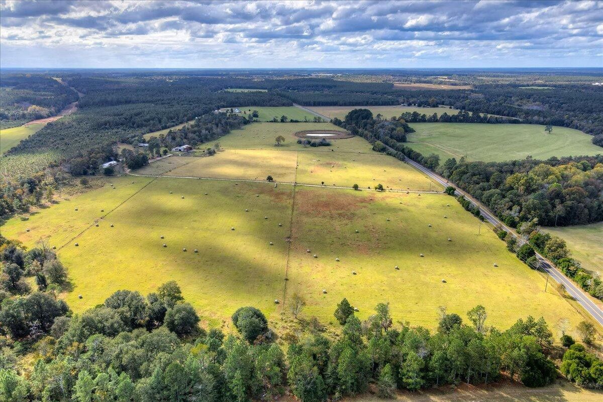 76.16 Acres, 3166 New Holland Road, Wagener, SC 29164 | Land and Farm