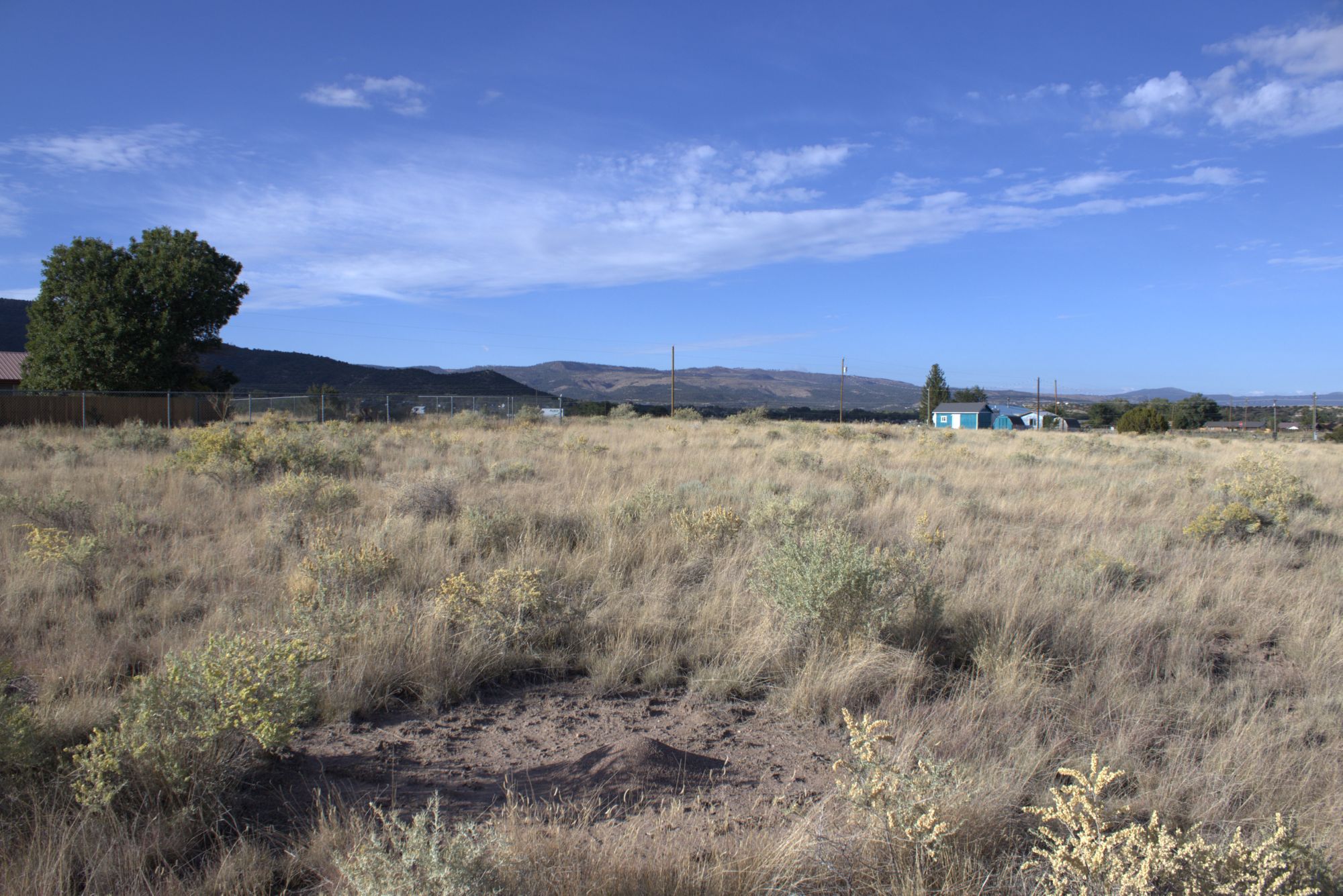 4069, Springerville, AZ 85938 | Land and Farm