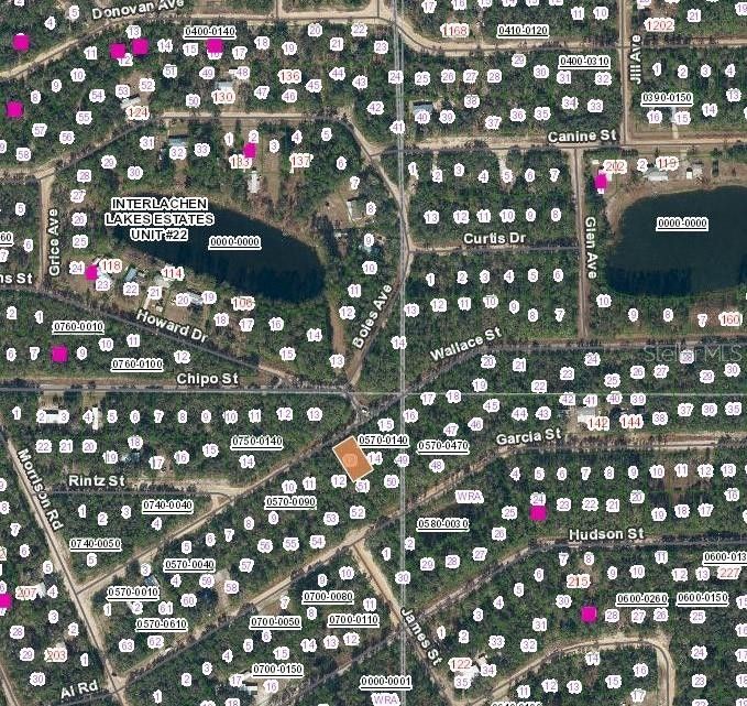 0.22 Acres, INTERLACHEN LAKES ESTATE, Interlachen, FL 32148 | Land and Farm