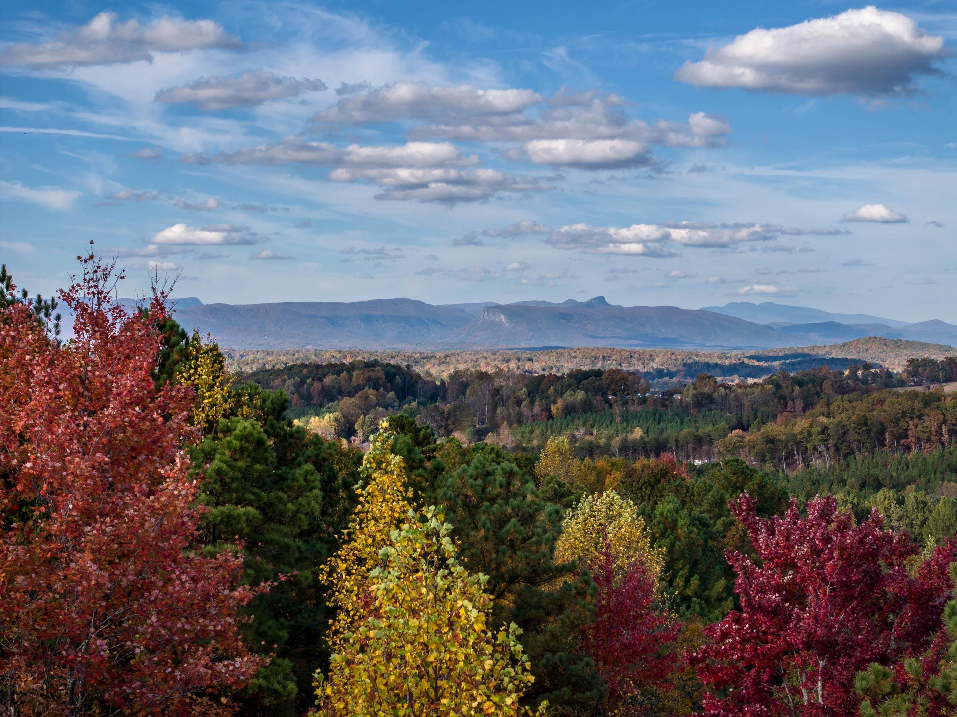 140 Acres, 99999 Hwy 226 south, Nebo, NC 28761 | Land and Farm