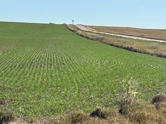 276.87 Acres, Gurley, NE 69141 | Land and Farm