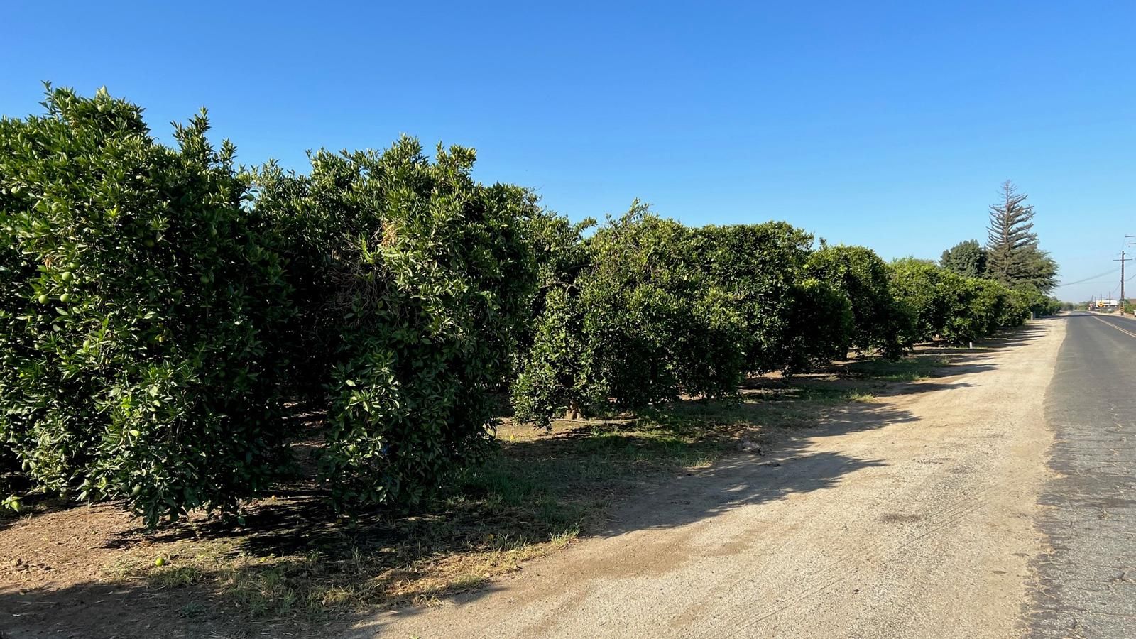 8.69 acres in Lindsay, CA, 93247 | Land and Farm