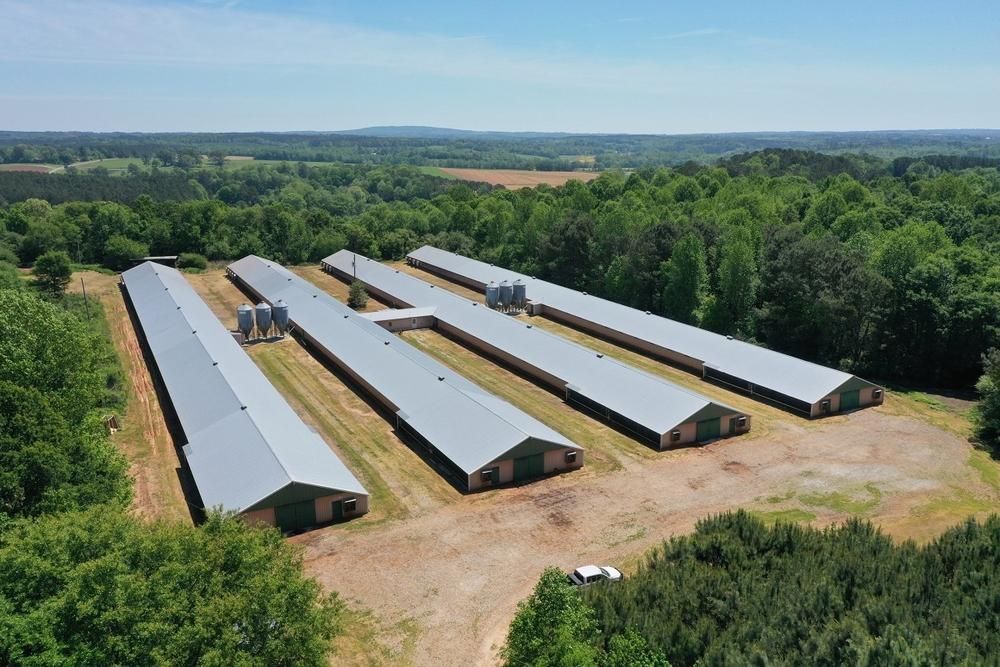 1750 County Road 9, Graham, AL 36263 | Land and Farm