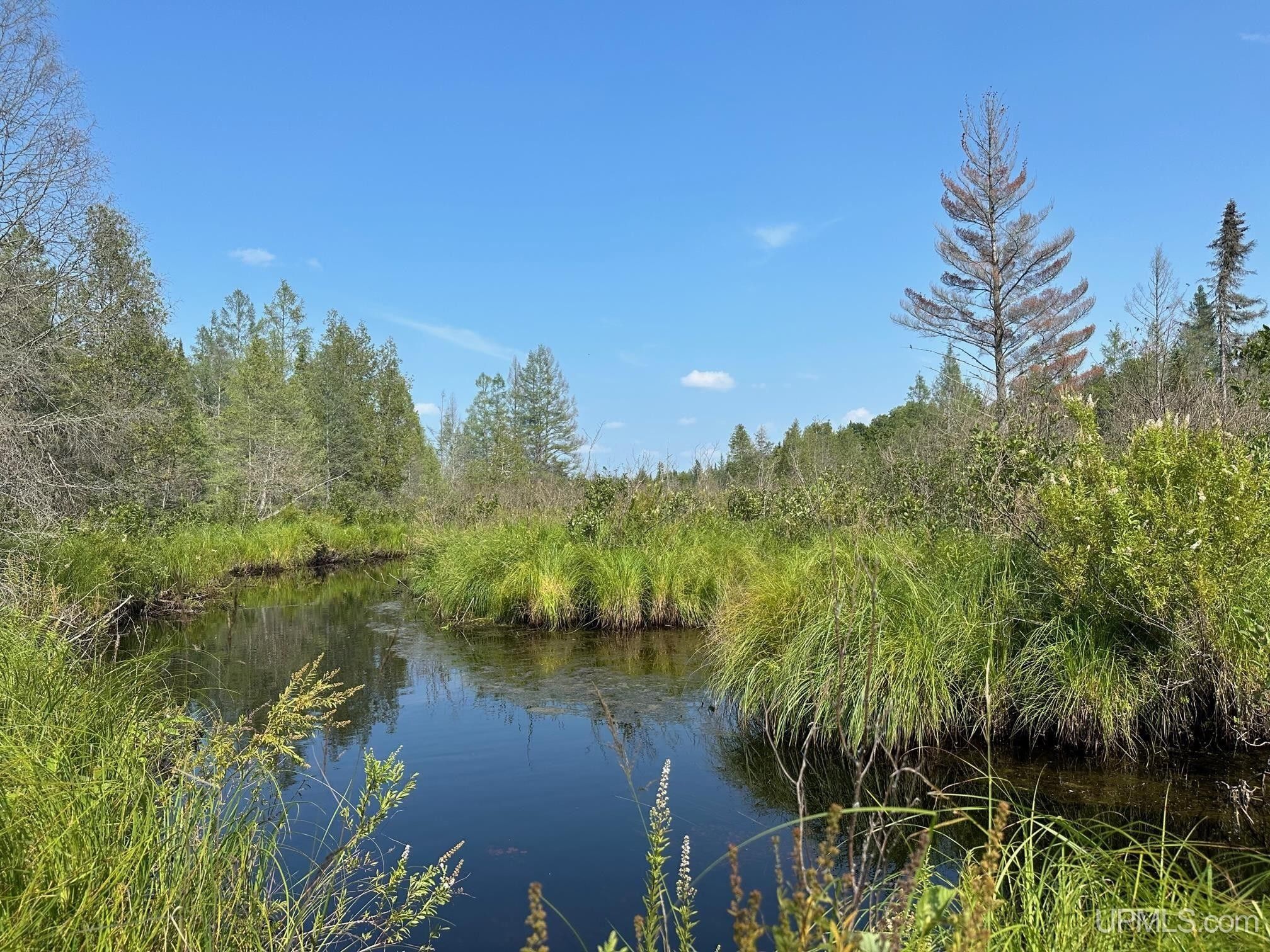 Off(2) Co Rd 426, Arnold, MI 49819 | MLS: 50117814 | Land and Farm