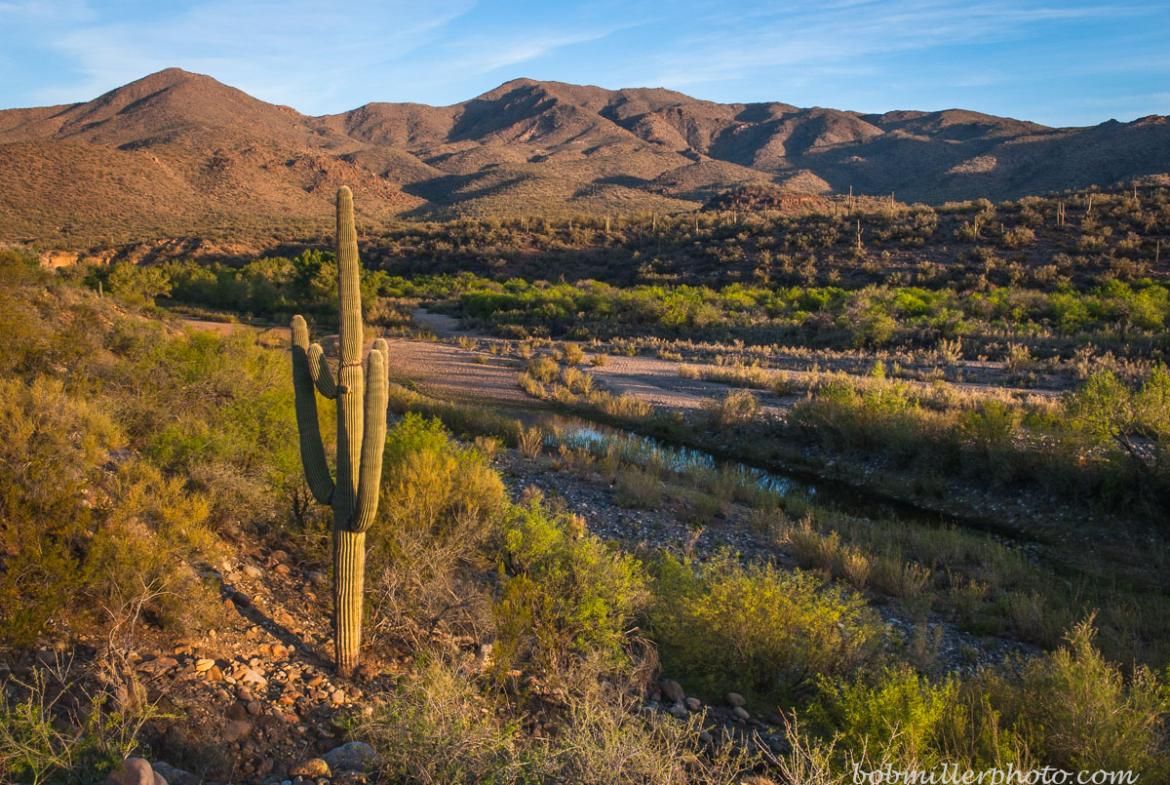 7250 Santa Maria River Ranch Road, Hillside, AZ 86321 | Land and Farm