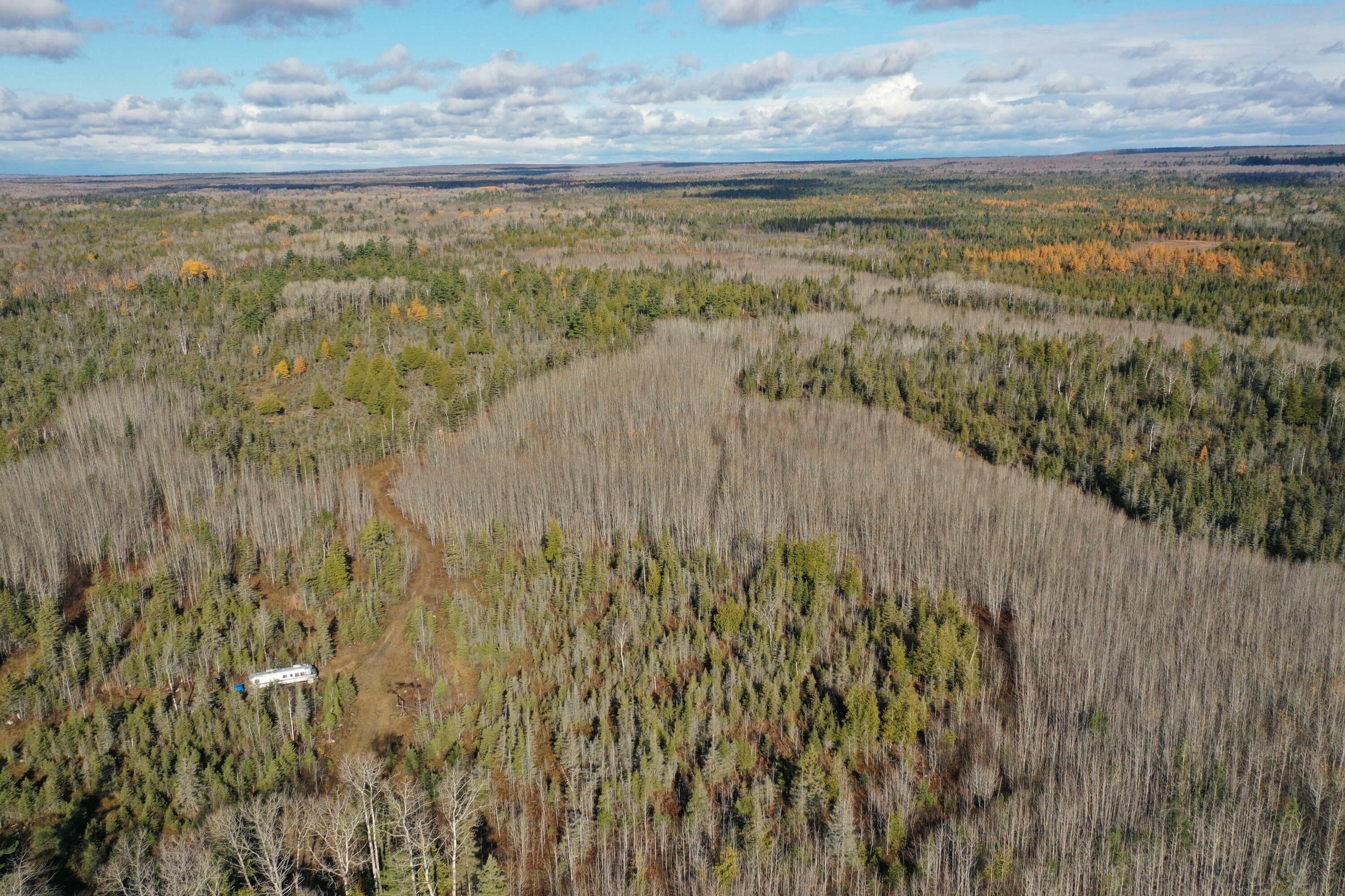 TBD N CZECH LN, Hessel, MI 49745 | MLS: 23-1030 | Land and Farm