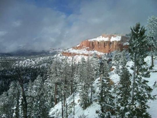 0.92 Acres, 1446 W Strawberry Point Road, Duck Creek Village, UT 84762 ...