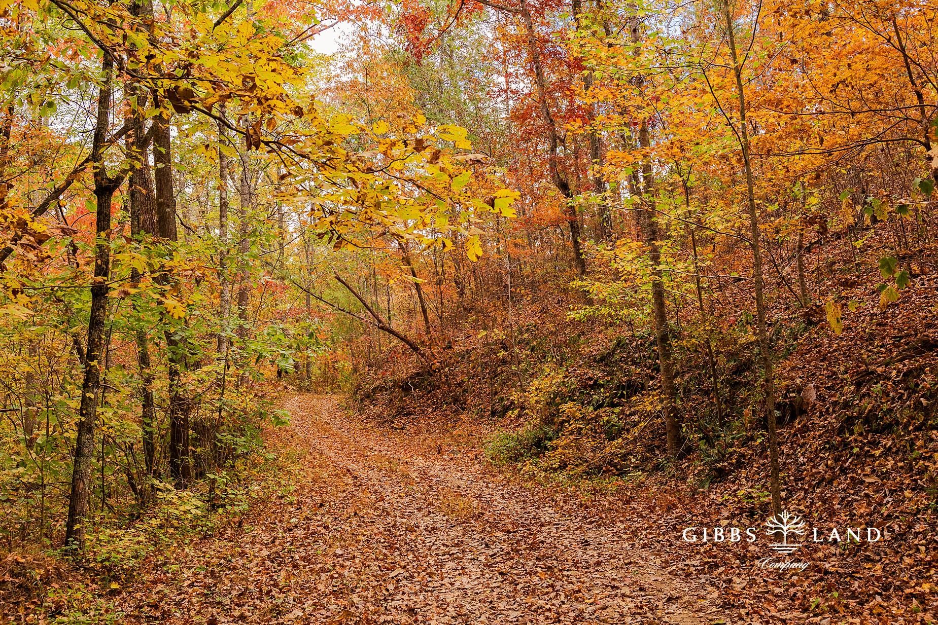 5091 County Road 97, Gaylesville, AL 35973 | Land and Farm