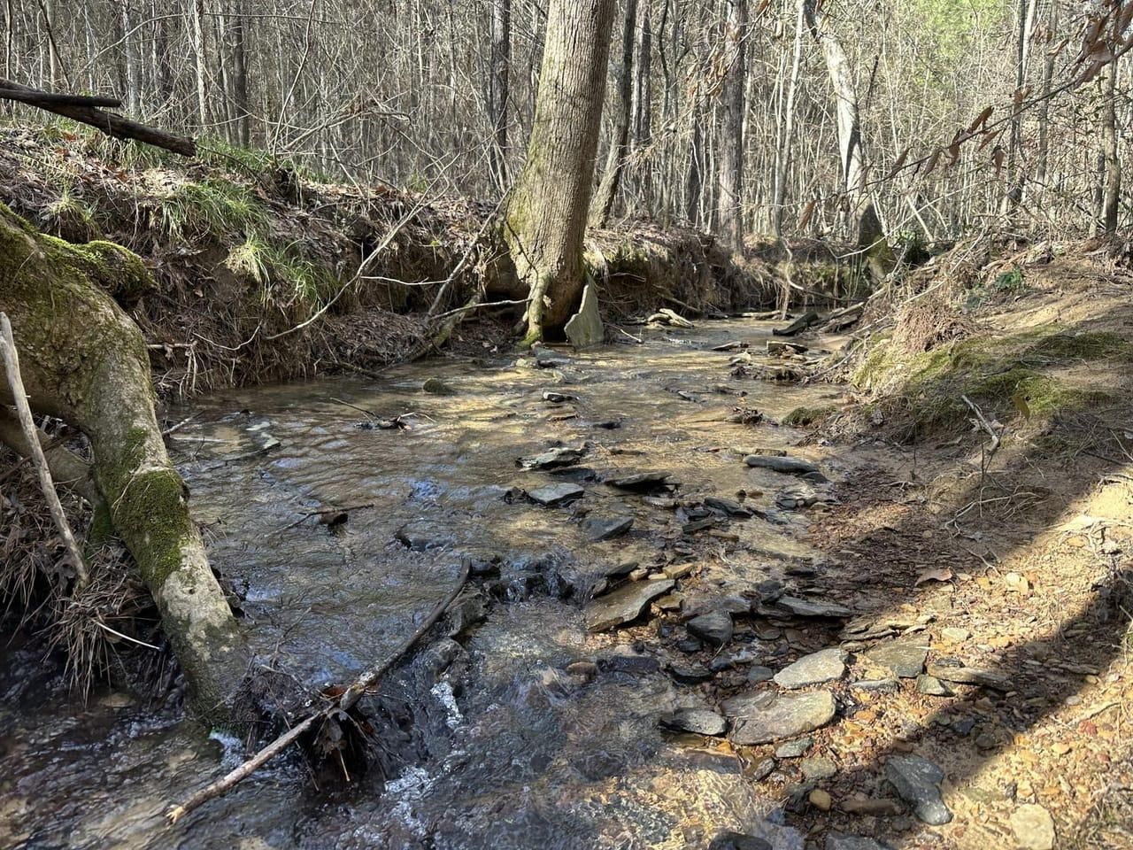 0 Co Rd 106, Logan, AL 35098 | Land and Farm