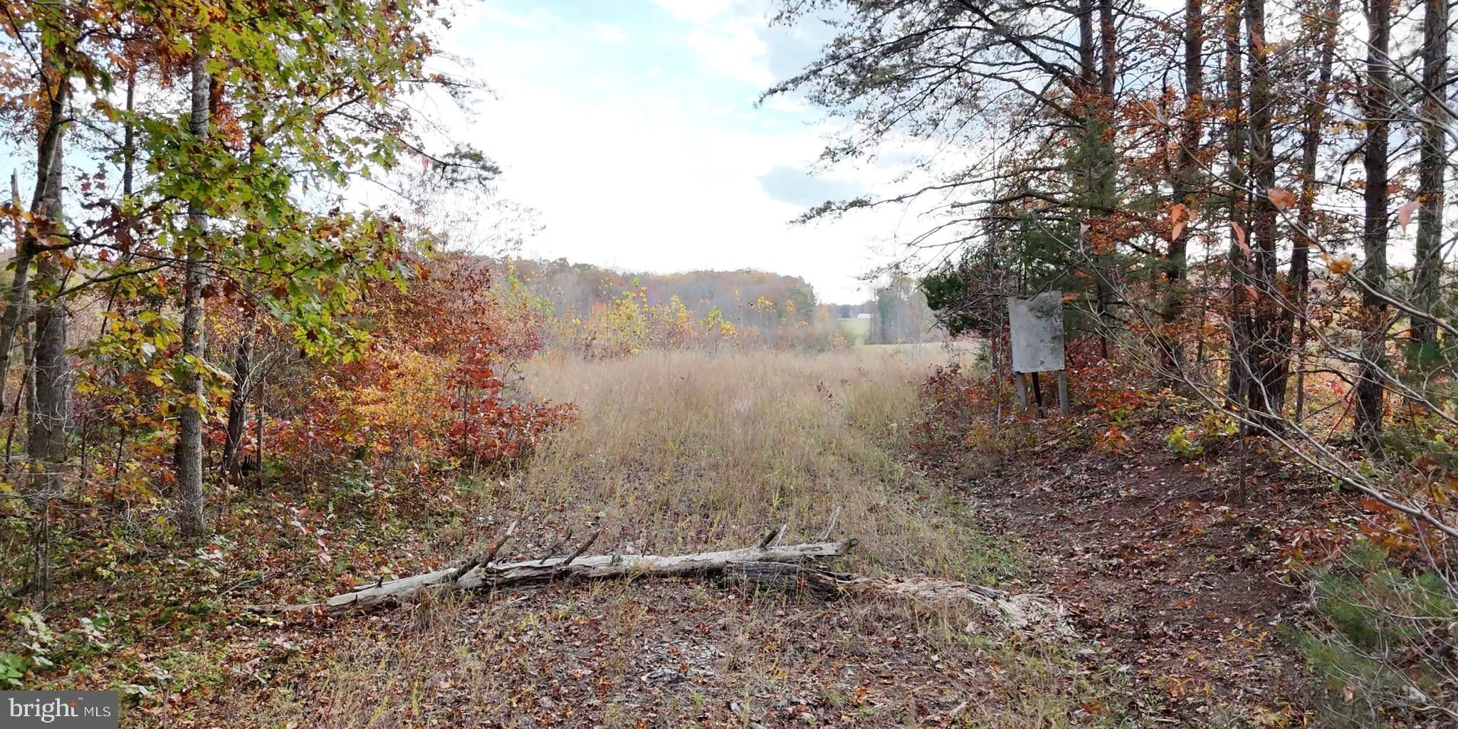 GRASTY GOLDMINE ROAD, Rhoadesville, VA 22542 | MLS: VAOR2006002 | Land ...