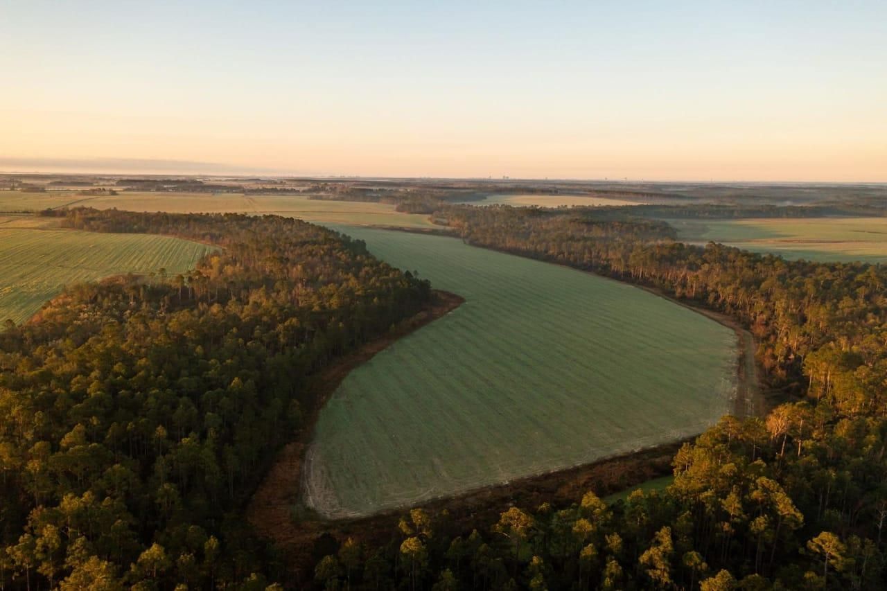 200 acres in Elberta, AL, 36530 | Land and Farm