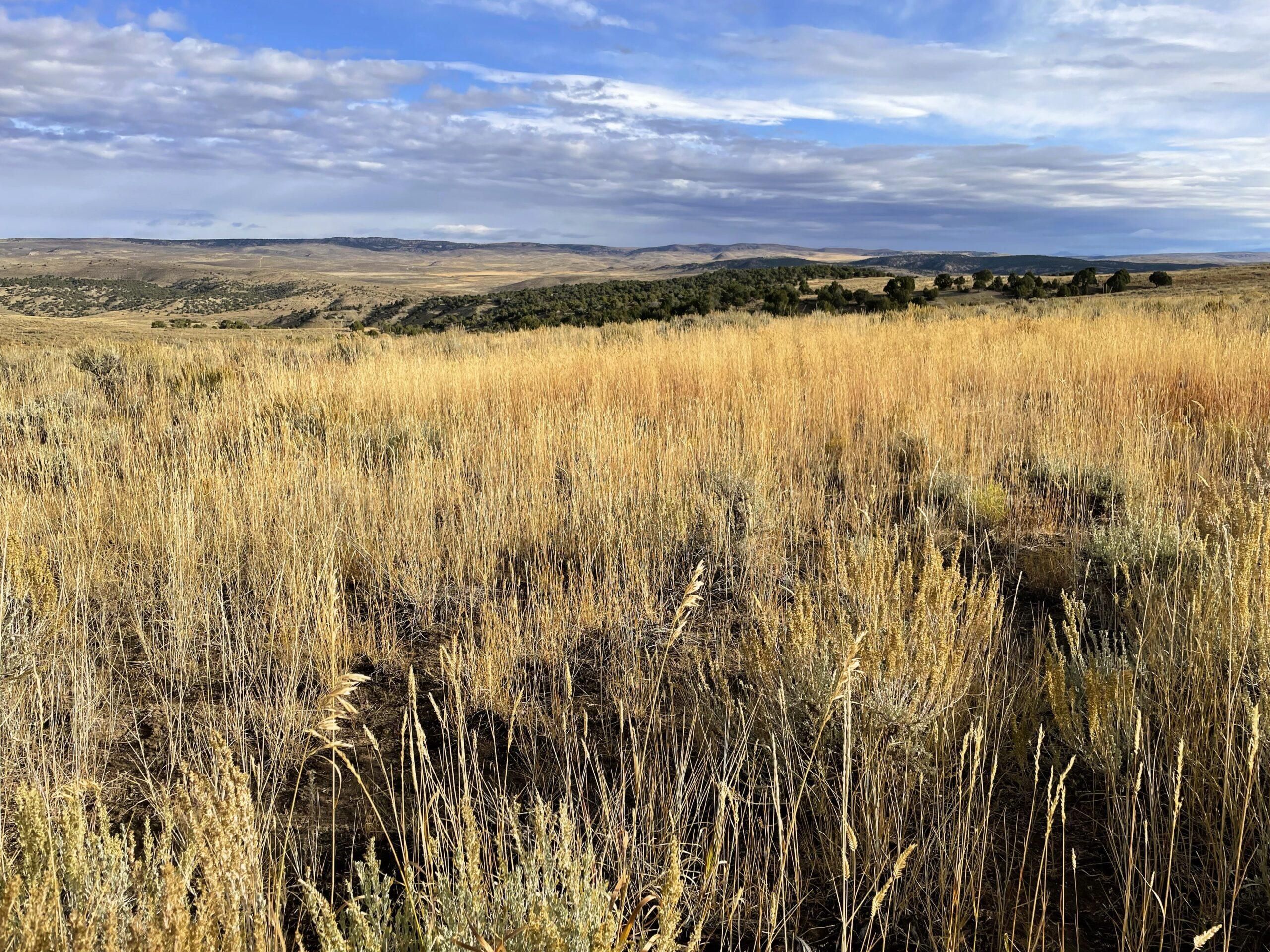 2,140 Acres, TBD Highway 40, Craig, CO 81625 | Land and Farm