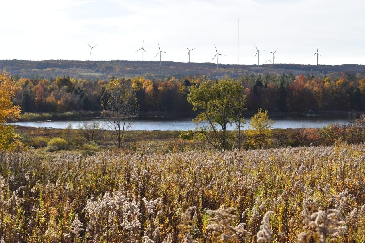 19.8 Acres, 9131 Zahm Road, Forestville, NY 14062 | Land and Farm