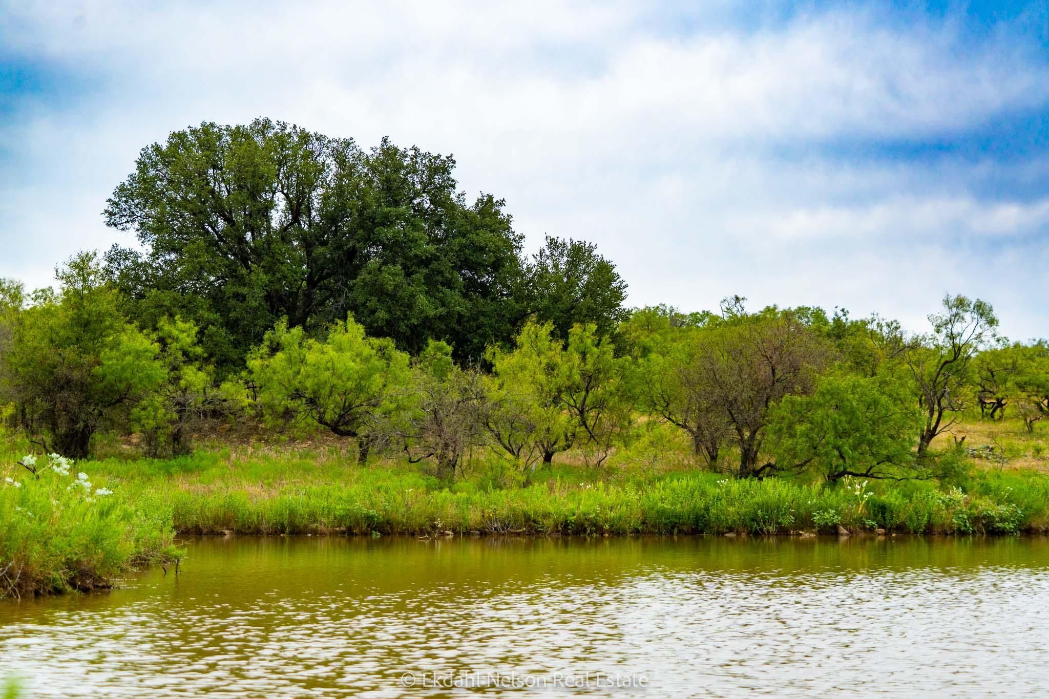 9951 US Hwy 283 S, Baird, TX 79504 | Land and Farm