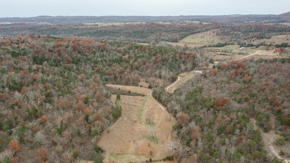 251 Wedin, Gainesville, MO 65655 | MLS: Ozark 80 | Land and Farm