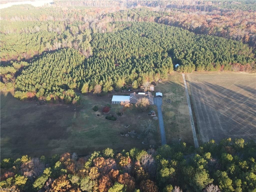 41 Acres, 2383 Cabin Point Road, Spring Grove, VA 23881 | Land and Farm