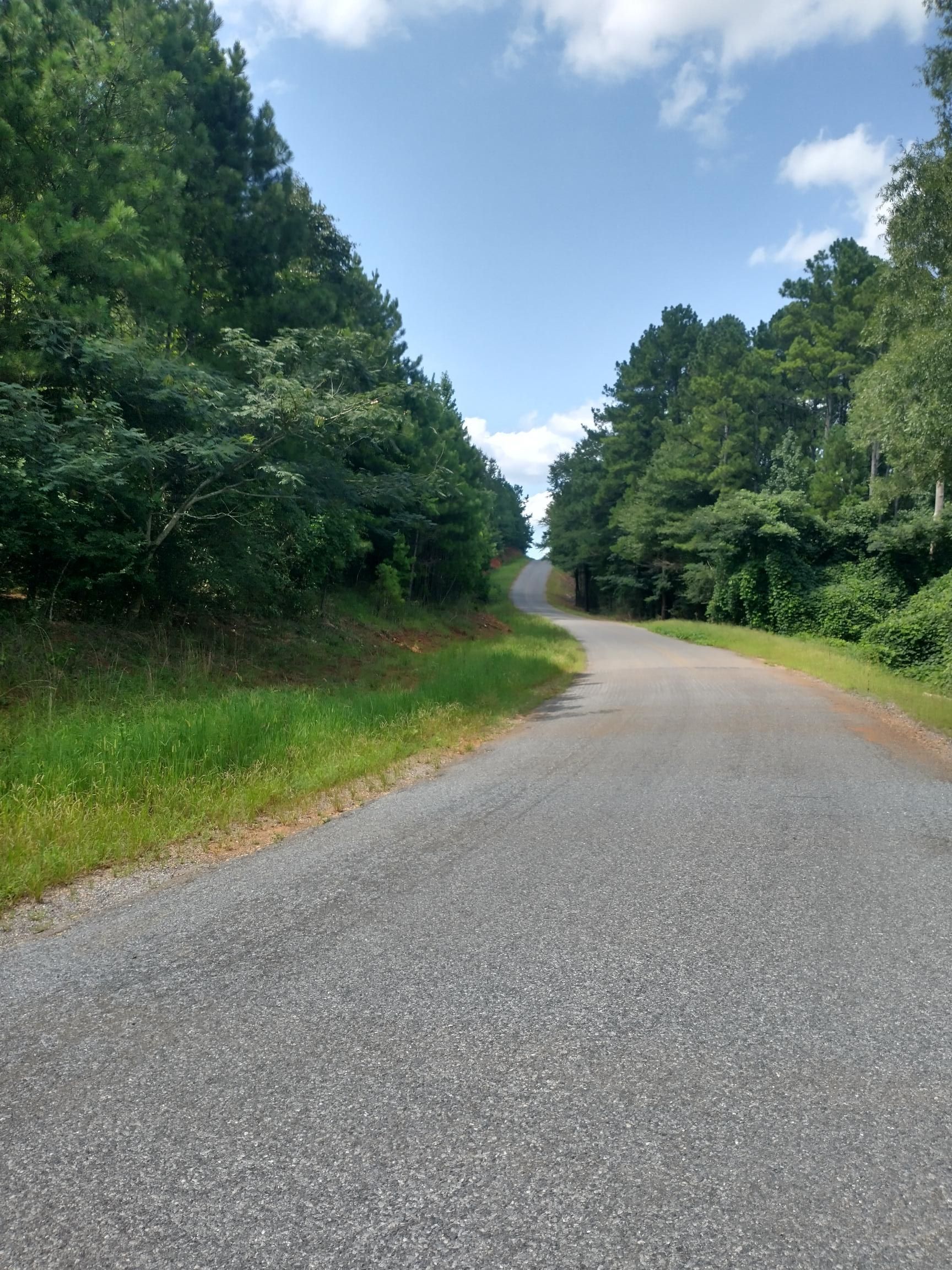 Risers Mill Road, Alpine, AL 35014 | Land and Farm