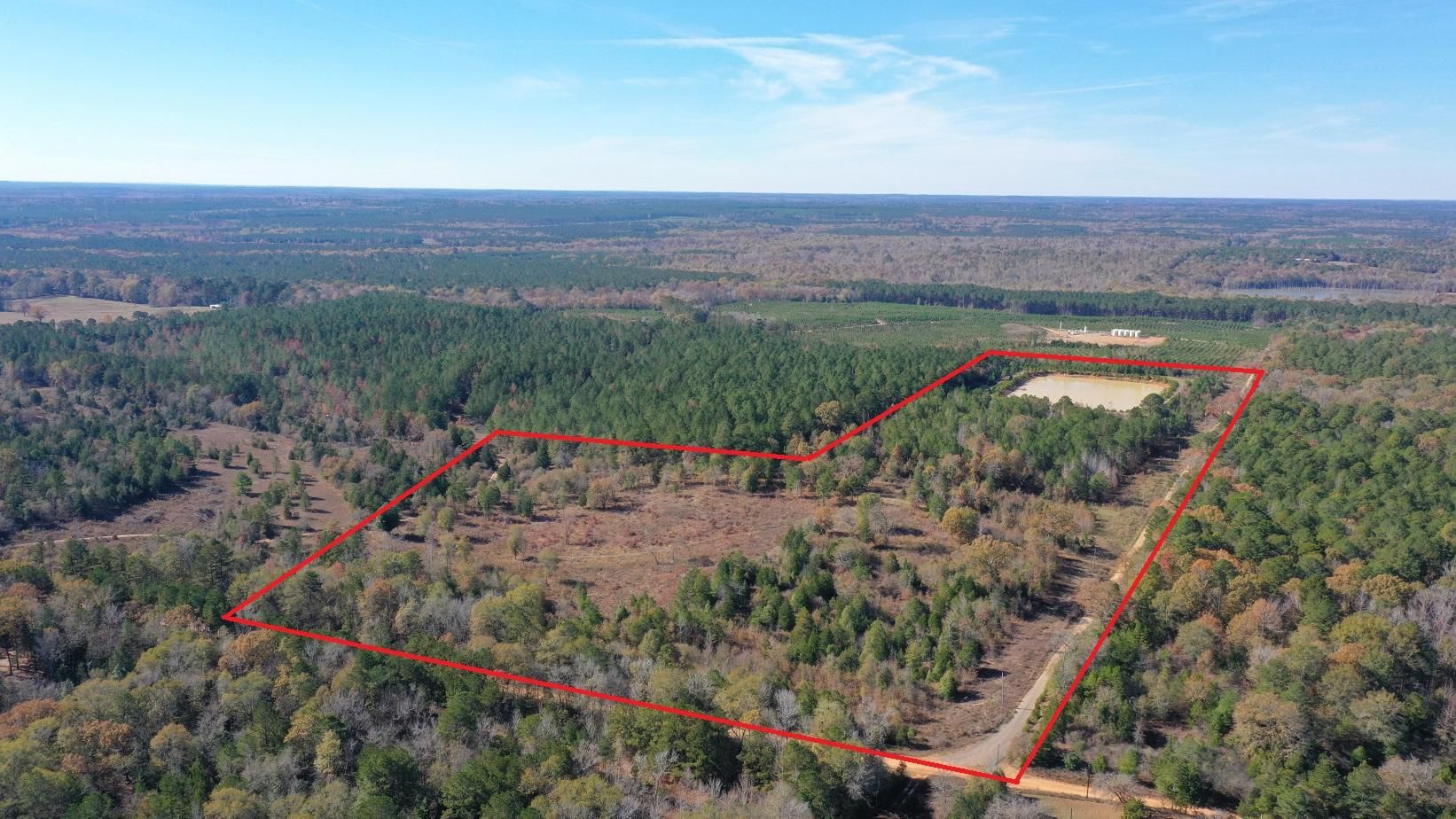 County Road 4345, Bivins, TX 75555 | MLS: 20236957 | Land and Farm