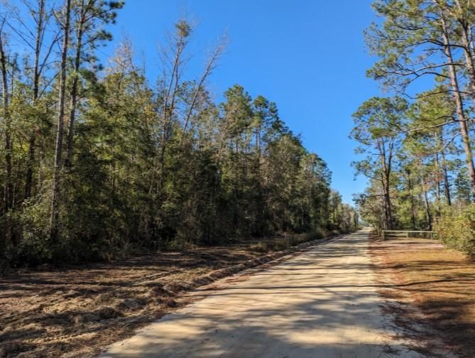 4 Acres, Jennings, FL 32053 | Land and Farm