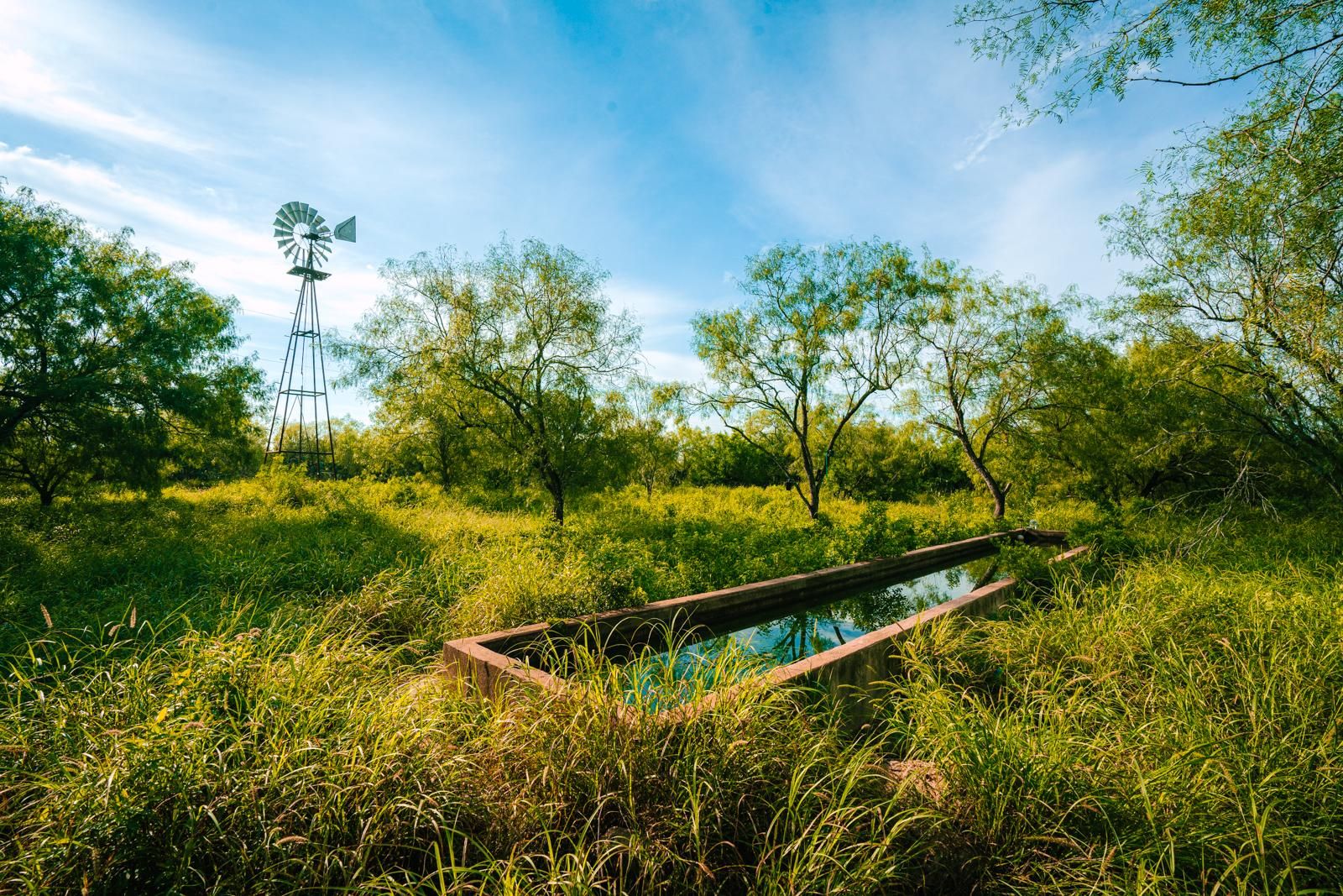 161.51 acres in Benavides, TX, 78349 | Land and Farm