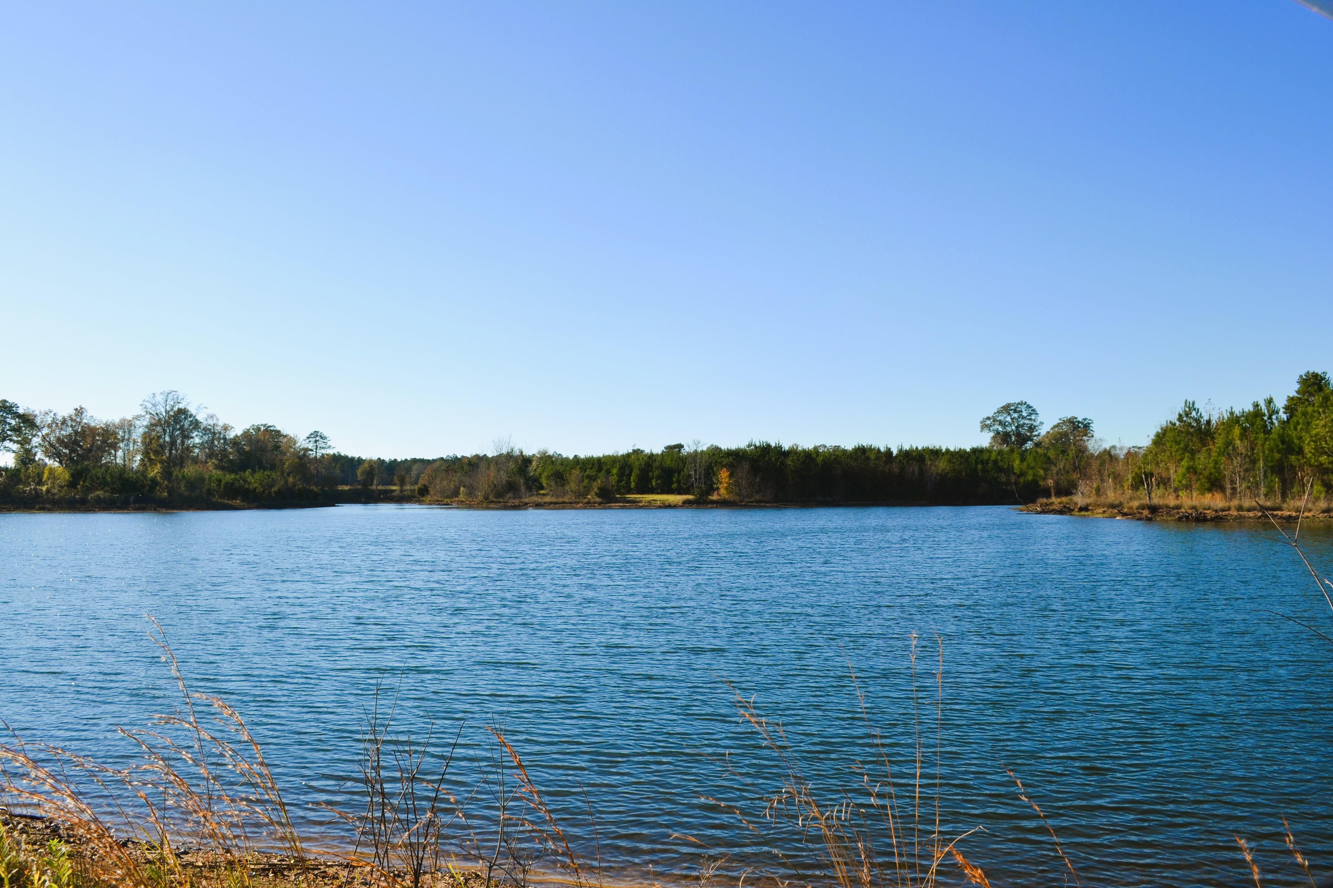 1,456 Acres, 15000 U.S. 84, Evergreen, AL 36401 | Land and Farm