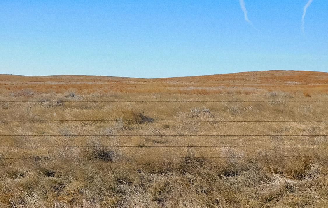 240 Acres, Avance Road, Faith, SD 57626 | Land and Farm