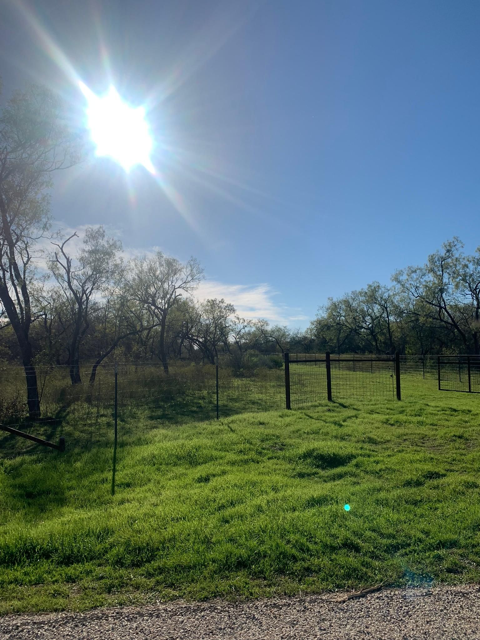 950 Watts Road, Kingsbury, TX 78638 | MLS: 525014 | Land and Farm