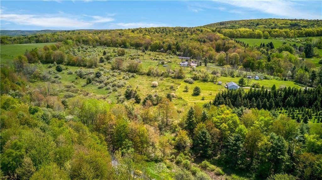 8.83 Acres, L 2 County Hwy 35, Masonville, NY 13804 | Land and Farm