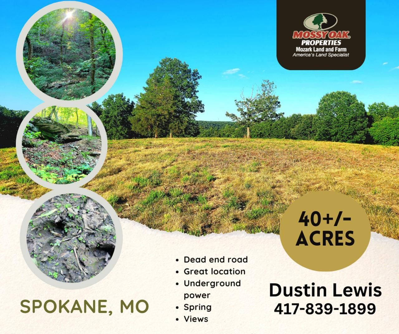 40 Acres, 000 Hedge Apple Road, Spokane, MO 65754 | Land and Farm