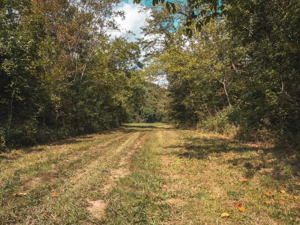 17 Acres, Paddy Chapel Road, Roby, MO 65557 | Land and Farm