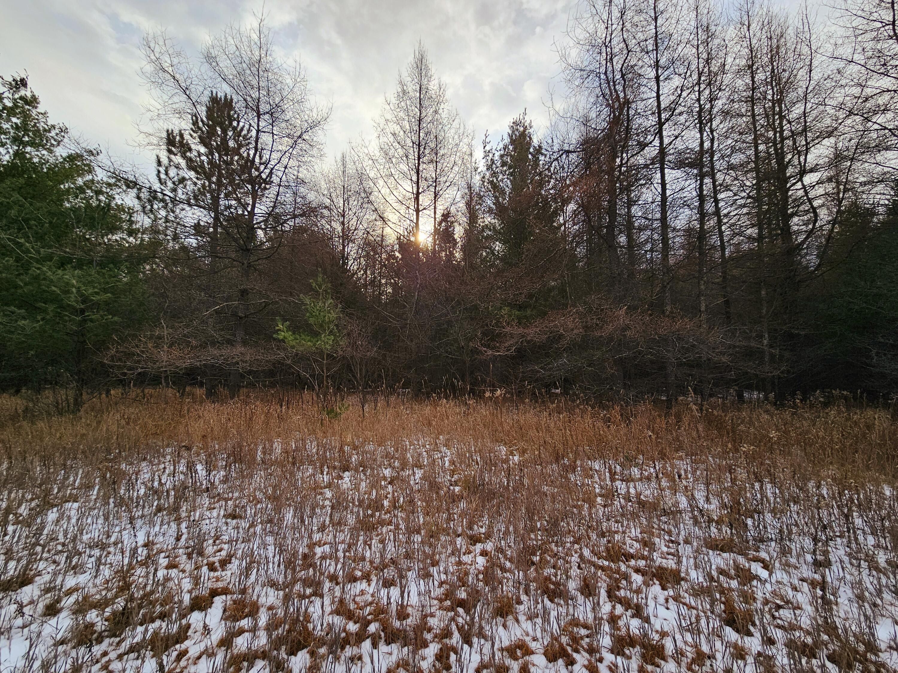 US-2, Gould City, MI 49838 | MLS: 23-1112 | Land and Farm