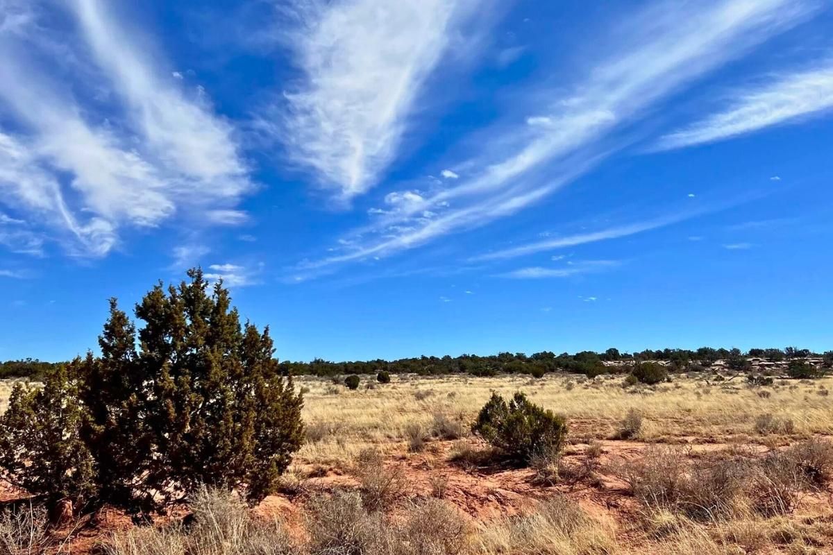 2.31 Acres, 3992 Sorrel Rd, Snowflake, AZ 85937 | Land and Farm