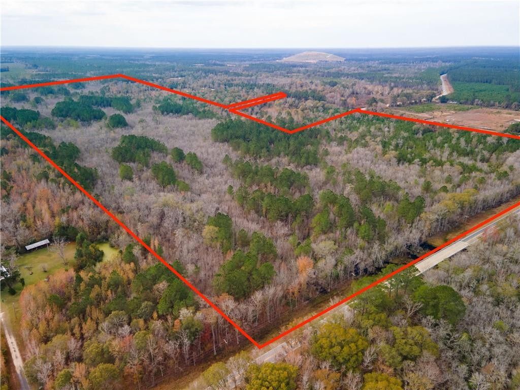 301 Broadhurst Road, Jesup, GA 31546 | MLS: 1643629 | Land and Farm
