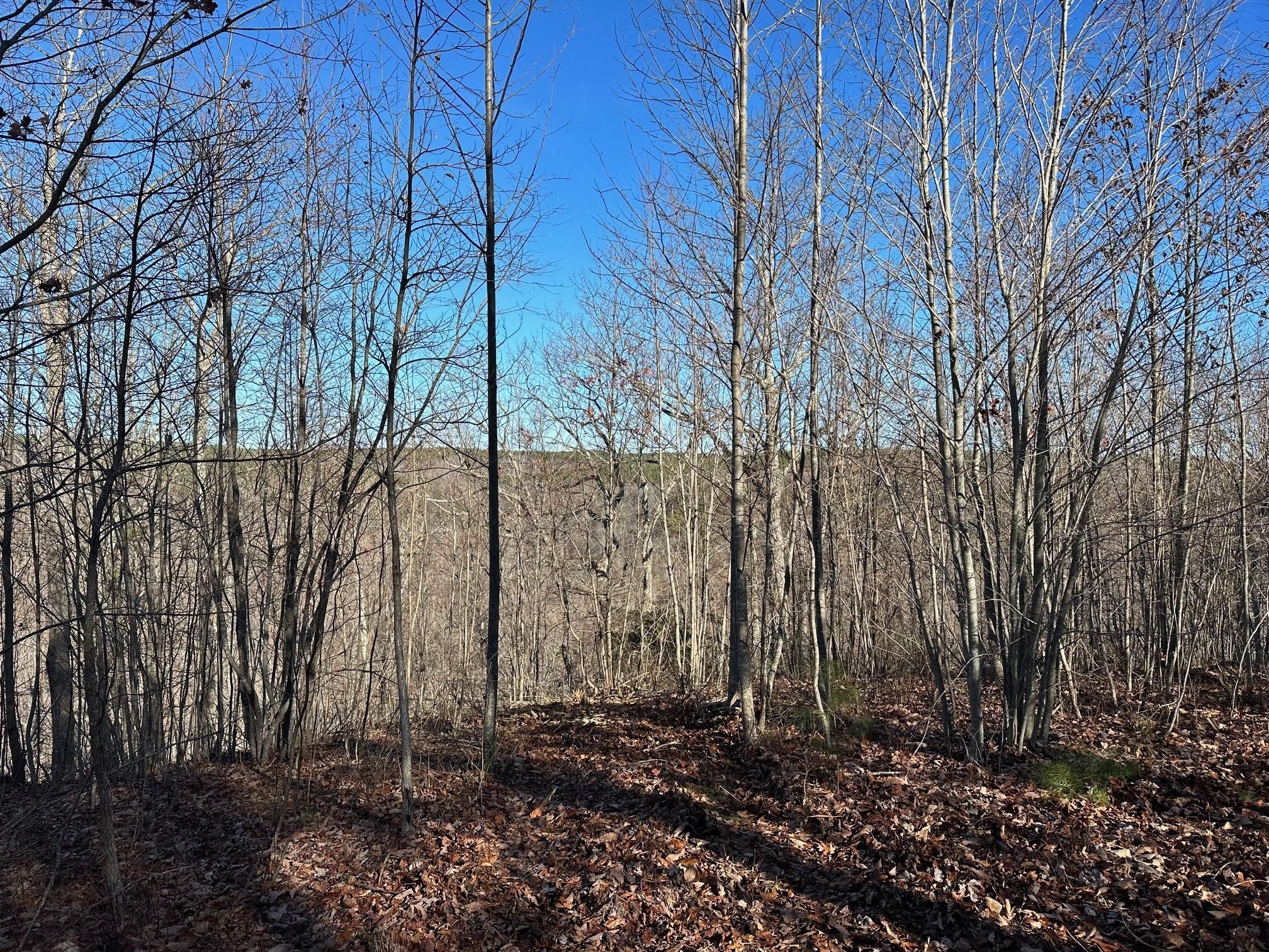 Tract 4 South Pittsburg Mtn Road, South Pittsburg, TN 37380 | MLS ...