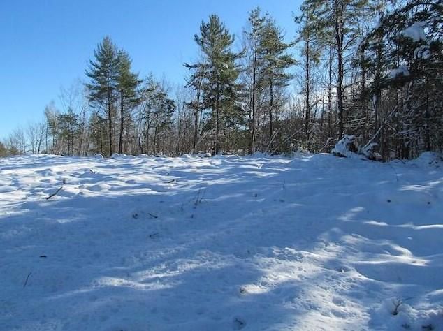 2 McAlister Road, Buckfield, ME 04220 | MLS: 1578956 | Land and Farm