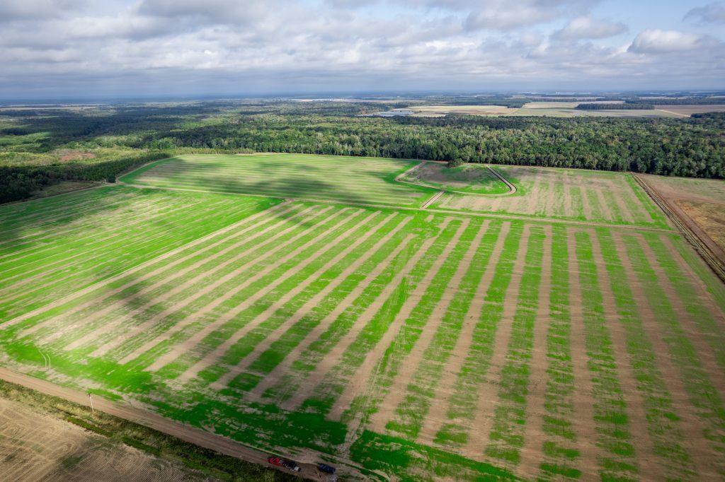 386 Acres, Des Arc, AR | Land and Farm