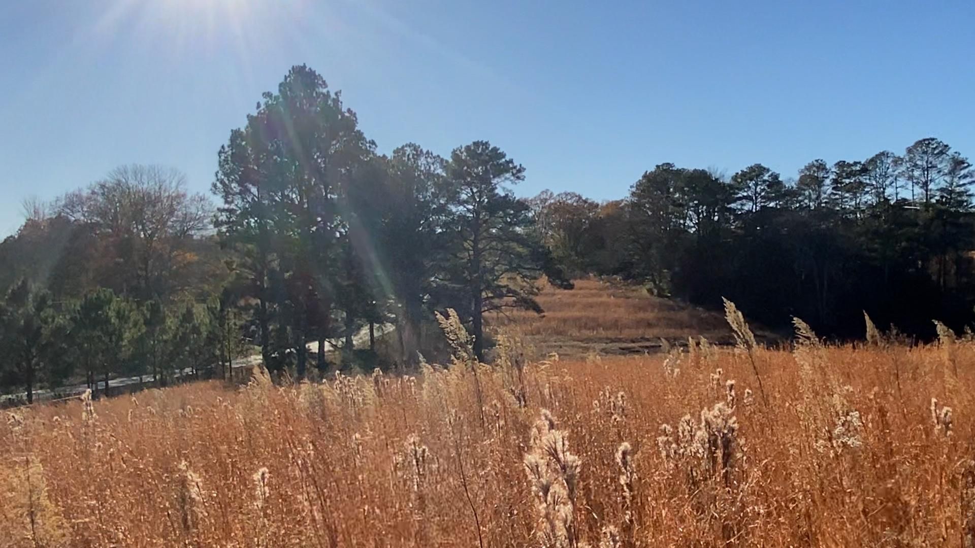 Alabama 132, Oneonta, AL 35121 | Land and Farm