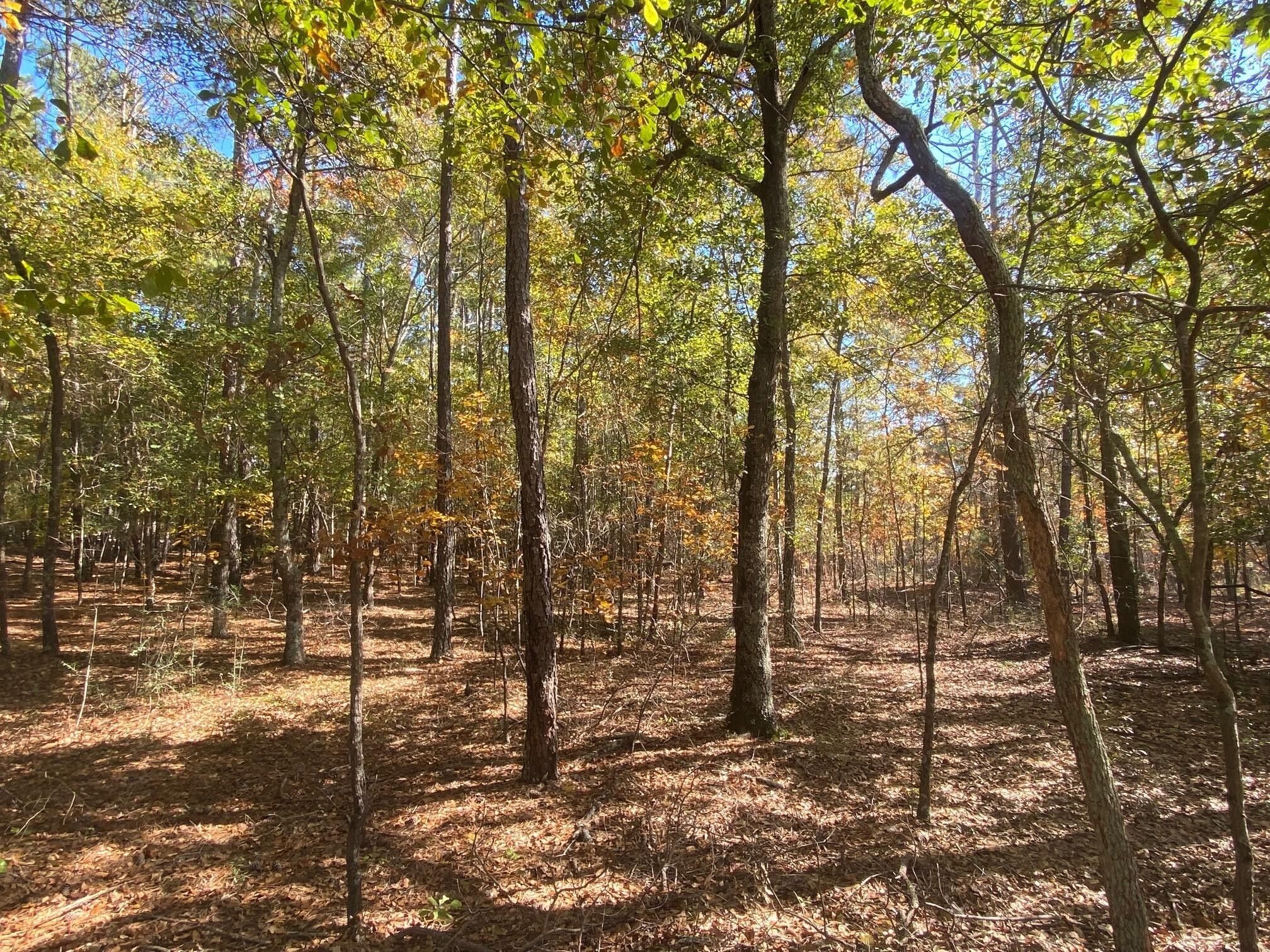 10.01 Acres, Lot B Emerson Road, Aiken, SC 29801 | Land and Farm