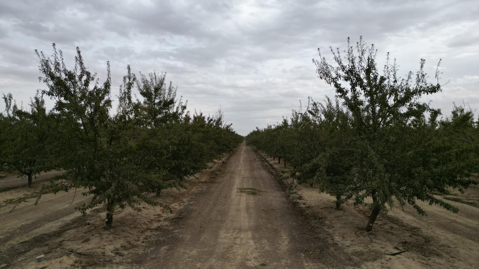 156.68 acres in Shafter, CA, 93263 | Land and Farm