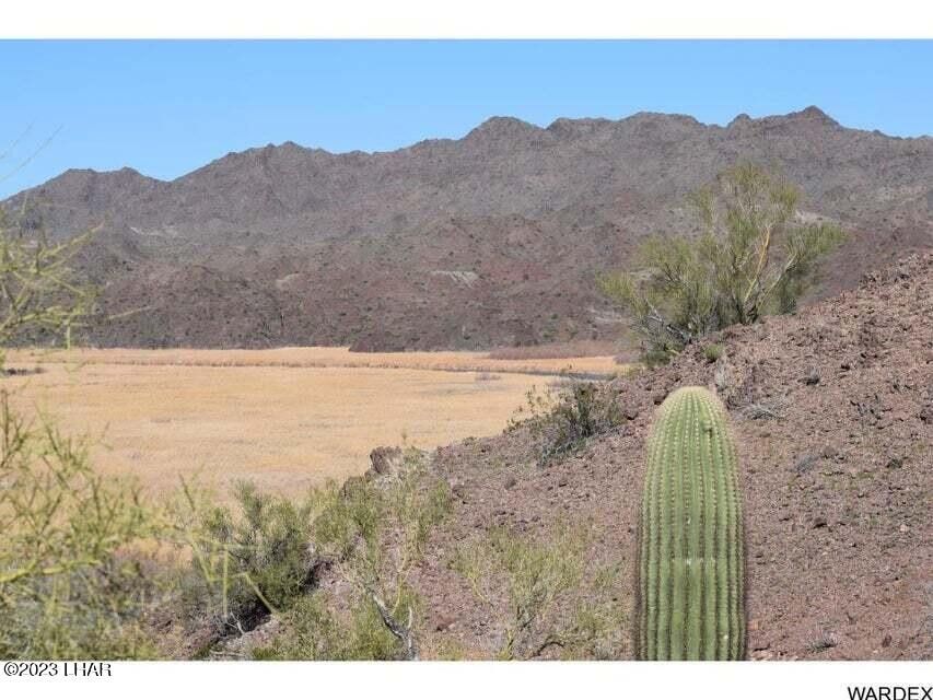 11.16 Acres, 47250 Planet Ranch Rd, Parker, AZ 85344 | Land and Farm