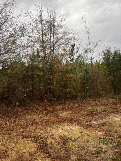13.11 Acres, 0 Mayrant Rd, Rembert, SC 29128 | Land and Farm