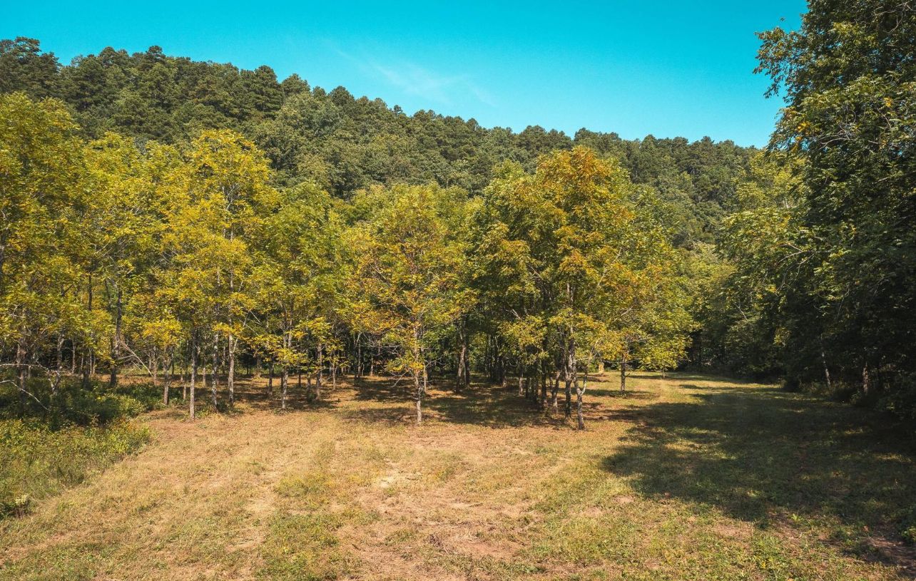 Paddy Chapel Road, Roby, MO 65557 | Land and Farm