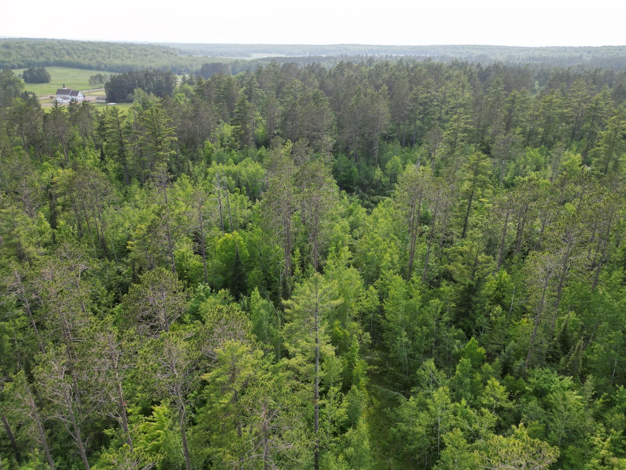 110 Acres, 000 County Highway E, Mason, WI 54856 | Land and Farm