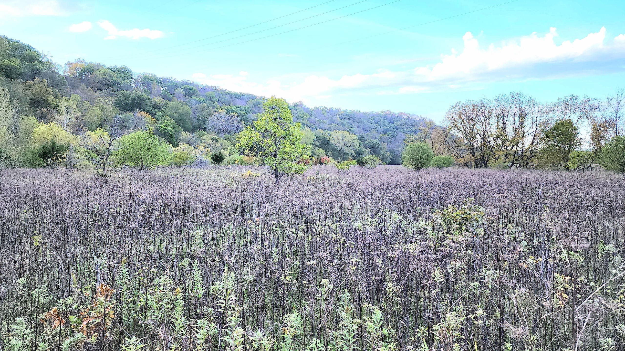 TBD 235th Avenue, Decorah, IA 52101 | Land and Farm