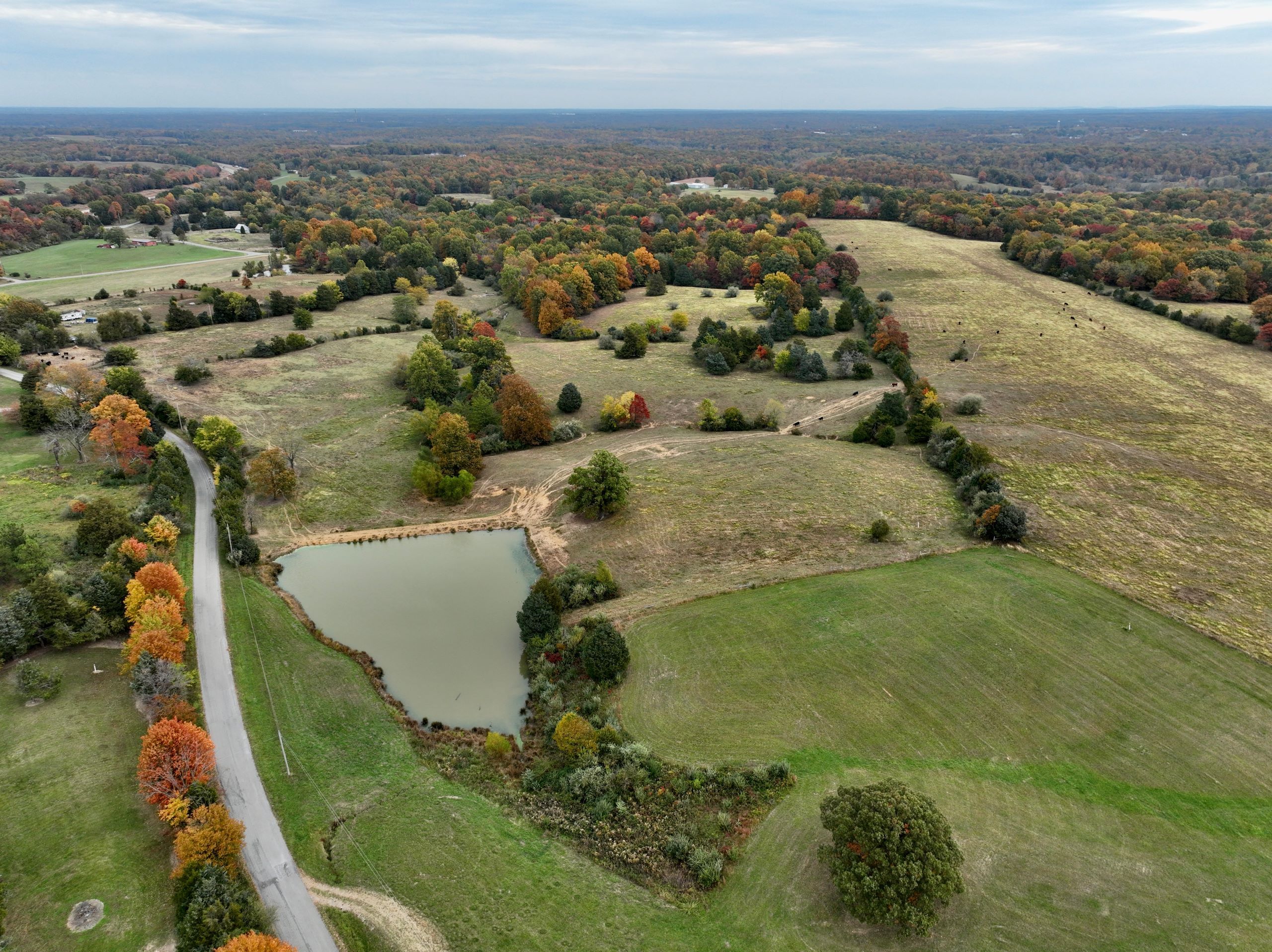 Friendship Loop, Lot#WP004, Goreville, IL 62939 | Land and Farm