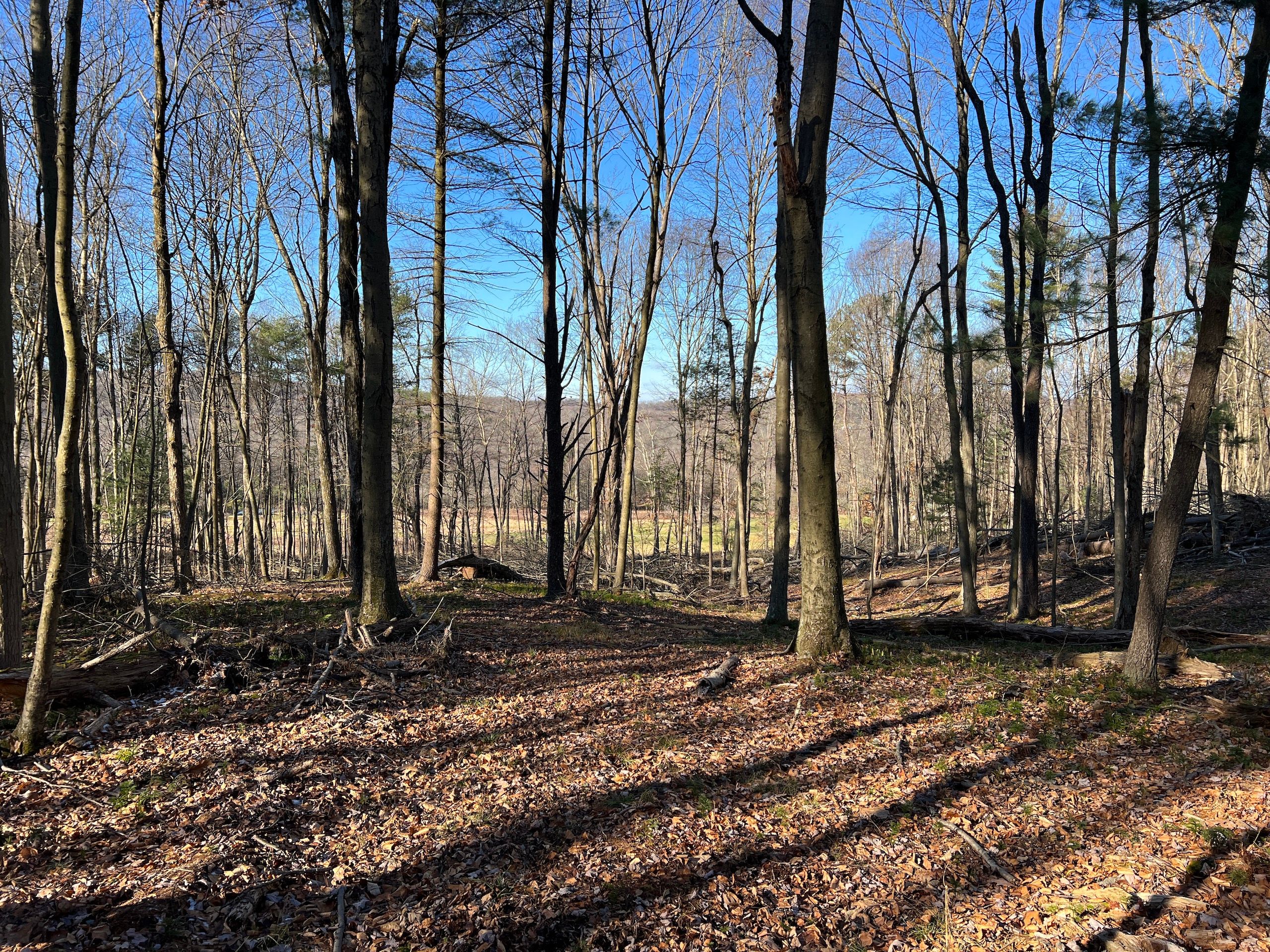 Burns Road, Lot#WP001, Venus, PA 16364 | Land and Farm